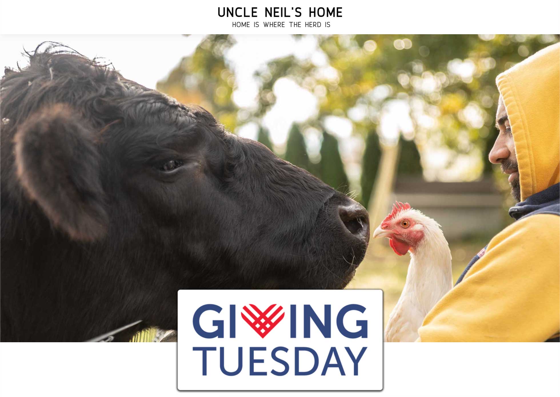 Giving Tuesday 2024 Fundraiser • Uncle Neils Home, A Farm Animal ...